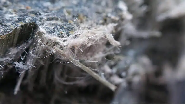 Asbestos In Flooring - All You Need To Know